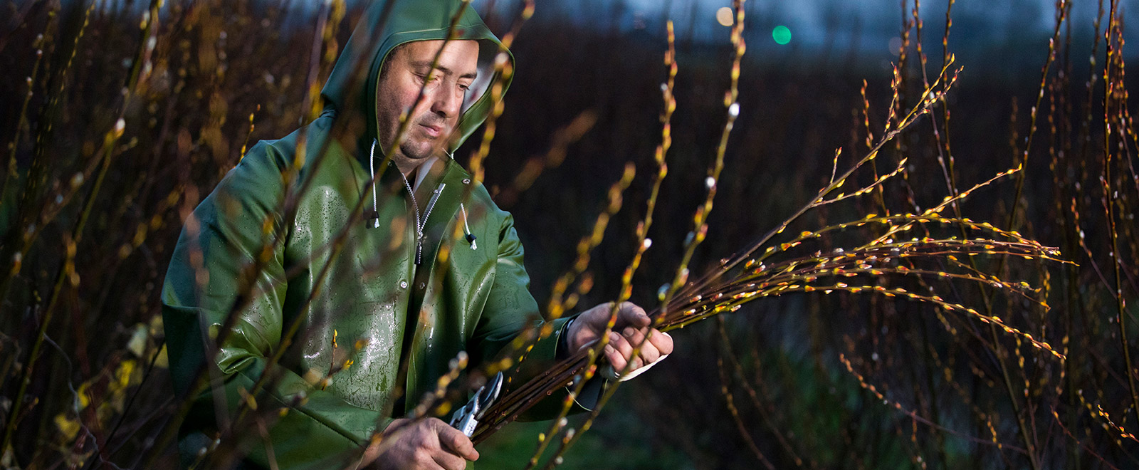 Dolfing | Protective wear